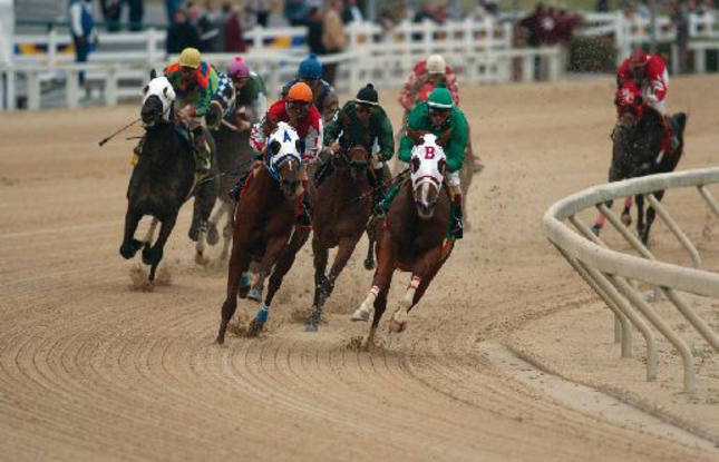 Horse Racing Tracks Around Louisiana