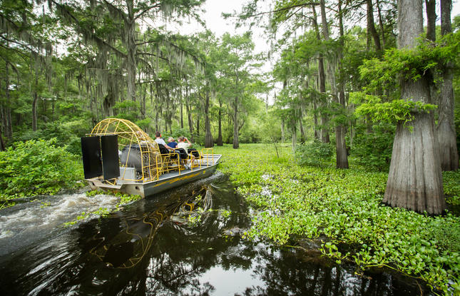 6 Cajun Culture Experiences in Louisiana | Explore Louisiana