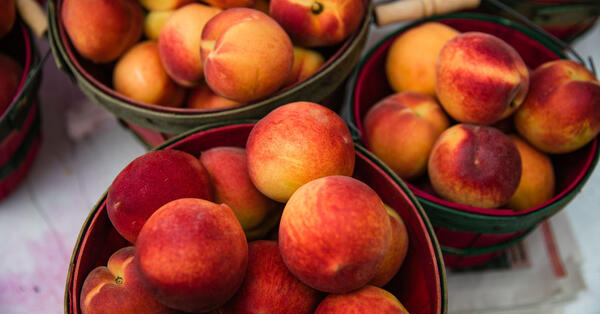 76th Annual Louisiana Peach Festival | Explore Louisiana