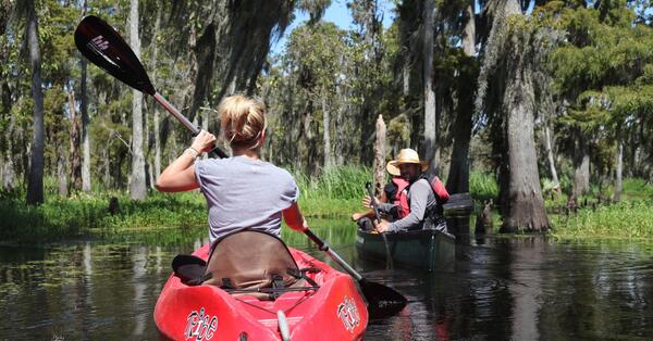 Beyond the Bayou Tours | Explore Louisiana
